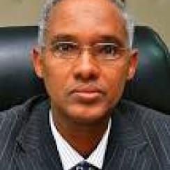 The Africa Green Hydrogen Finance Accelerator Forum | Green Hydrogen Organisation